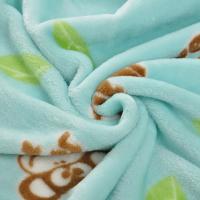 China Printing Flannel Fabric Blanket Fluffy Soft Koala Fleece Blanket for sale