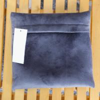 China Fade Resistant Travel Picnic Blanket Backpack Clip Travel Beauty Pillowcase for sale