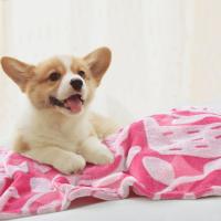 China Polyester Cat Fleece Blanket Flannel Soft Small Fleece Blanket For Pets for sale