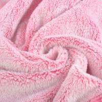 China Polyester Cat Fleece Blanket Flannel Soft Small Fleece Blanket For Pets for sale
