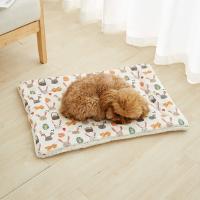 China Fade Resistant Warm Pet Blanket Polyester Animal Small Polar Fleece Blanket for sale