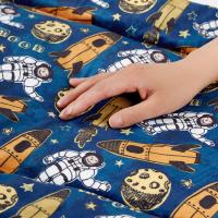 China Outing Warm Pet Blanket Knit Fleece 100 Polyester Dog Cat Blanket for sale