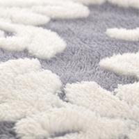 China Thick Fleece Bed Blanket Fuzzy Twin Size Sherpa Fleece Blankets for sale