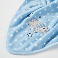 China Fleece Plush Small Lightweight Crib Baby Blanket for Toddler Bed for sale