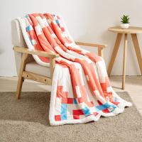 China Fleece Plush 2-Ply Weight Super Soft Warm Fleece Blanket For Bed for sale