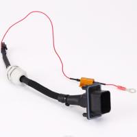 China Automotive Wire Harnesses with TE Terminal Custom Cable Assembly - FWH-028 Model with UL/RoHS/CE Certification for sale