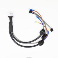 China Automotive Wiring Harness with TE Terminal FWH-020 - Waterproof Custom Cable Assembly for Industrial Applications for sale