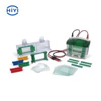 China Bio-Rad Mini-PROTEAN Tetra Cell Vertical Electrophoresis System 1-4 Gels 30 Min for sale