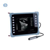 China HiYi CHY8 8 Inch Digital Veterinary B-Ultrasound for Cattle Goat Pig Horse Dog 1024x768 for sale