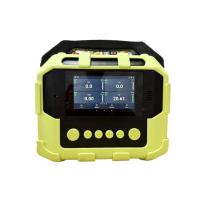 China Ptm600-S Portable Intelligent Gas Analyzer For Multi Gas Detection for sale
