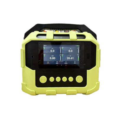 China Ptm600-S Portable Intelligent Gas Analyzer For Multi Gas Detection for sale