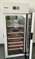 China Lithium Ion Battery Test Chamber 275L 0-60C for Safety and Reliability Testing for sale