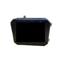 China PTM600-EG TDLAS Laser Methane and Ethane Analyzer 0-100000ppm for Natural Gas Leak Detection for sale