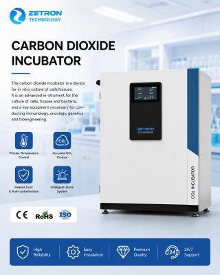 China Carbon Dioxide Incubator 195L 7 Inch Touch Screen IR CO2 Sensor for Microbiology Cell Growth for sale