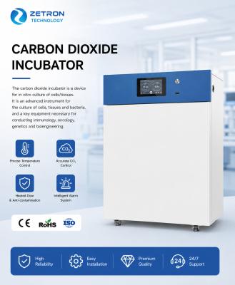China Carbon Dioxide Incubator 85L 220V for Cell Culture Laboratory Research RPC-85E for sale