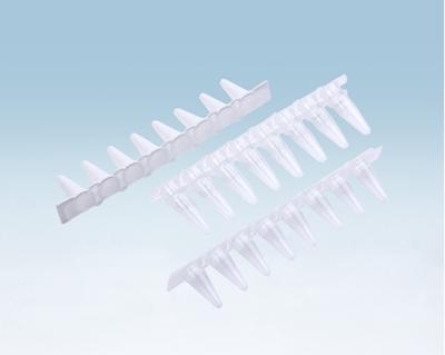China Clear 0.1ml 0.2ml 8 Strip PCR Tubes for PCR Instrument Polypropylene Thin Wall for sale