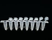 China Clear 0.1ml 0.2ml 8 Strip PCR Tubes for PCR Instrument Polypropylene Thin Wall for sale