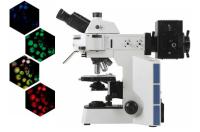 China Infinity Binocular Biological Microscope 100X Plan Achromatic Objective LED for sale