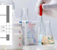 China Raw Milk Quinolone Antibiotic Test Strips 2-8°C Detection for Bovine Sheep Milk for sale