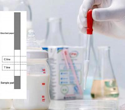 China Raw Milk Quinolone Antibiotic Test Strips 2-8°C Detection for Bovine Sheep Milk for sale