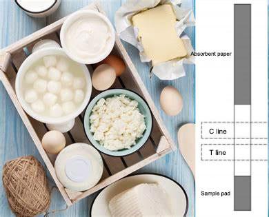 China Aflatoxin M1 Test Strip for Fresh Raw Milk 0.08 μg/kg Detection Limit 96 Tests per Box for sale