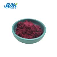 China Wholesale Morus Alba L Mulberry Fruit Powder 100% Natural Purple Fruit Vegetable Powder for sale