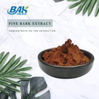 China Pure Anthocyanin Extract Supplement OPC 95% Pine Bark Extract for sale