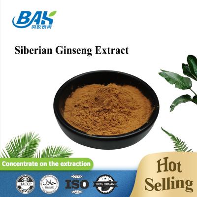 China Siberian Ginseng Extract Immune Enhancing Supplements 0.8% Eleutheroside B+E for sale