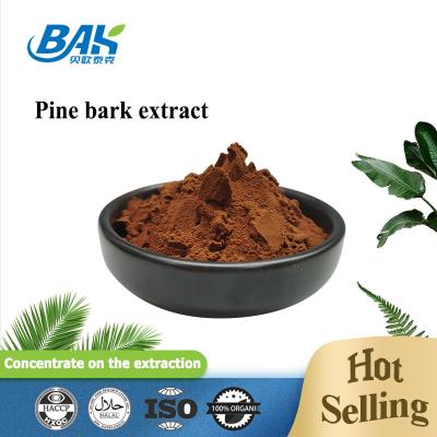 China Pine Bark Extract 95% Proanthocyanidins Anthocyanin Supplement Fine Powder for sale