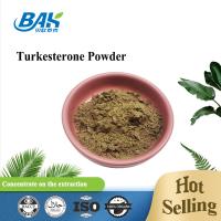China Turkesterone Powder 2% Ajuga Turkestanica Extract Muscle Growth Supplement 80 Mesh for sale
