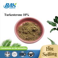 China 10% Turkesterone Powder Ajuga Turkestanica Extract 80 Mesh Muscle Growth Supplement for sale