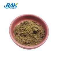 China 10% Turkesterone Powder Ajuga Turkestanica Extract 80 Mesh Muscle Growth Supplement for sale