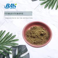 China 10% Turkesterone Powder Ajuga Turkestanica Extract 80 Mesh Muscle Growth Supplement for sale