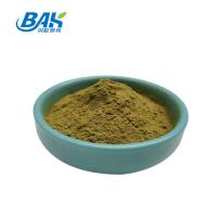 China Oleuropein 10%-80% Immune Enhancing Supplements Olive Leaf Extract for sale