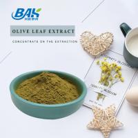 China Oleuropein 10%-80% Immune Enhancing Supplements Olive Leaf Extract for sale