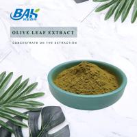 China Oleuropein 10%-80% Immune Enhancing Supplements Olive Leaf Extract for sale