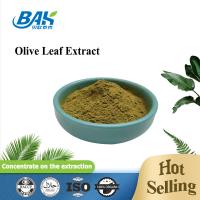 China Oleuropein 10%-80% Immune Enhancing Supplements Olive Leaf Extract for sale