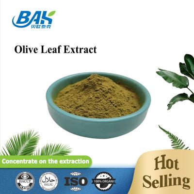 China Anti Bacteria Immune Enhancing Supplements Ole Olive Leaf Extract for sale