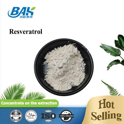 China Polygonum Cuspidatum Extract  Resveratrol Powder For Immune Enhancing for sale