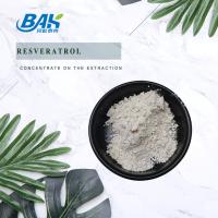 China Polygonum Cuspidatum Extract  Resveratrol Powder For Immune Enhancing for sale
