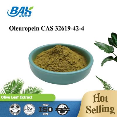 China Olive Leaf Powder Immune Enhancing Supplements Oleuropein 10%-80% for sale