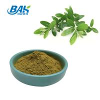 China Olive Leaf Powder Immune Enhancing Supplements Oleuropein 10%-80% for sale