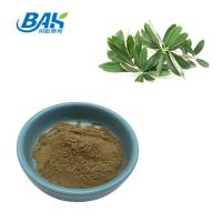 China Hydroxytyrosol 3%-50% Olive Leaf Extract Weight Loss Supplement Antioxidant for sale
