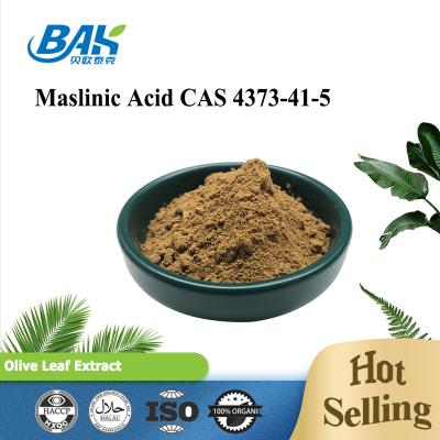 China Olive Leaf Extract Maslinic Acid 10%-40% HPLC Tested Cardiovascular Health Supplement for sale