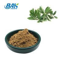 China Olive Leaf Extract Maslinic Acid 10%-40% HPLC Tested Cardiovascular Health Supplement for sale