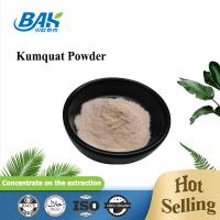 China Kumquat Fruit Powder 80 Mesh Light Yellow Fine Powder for Health Food Beverage for sale