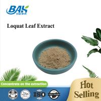 China SC Loquat Leaf Extract Weight Loss Supplement Powder for sale