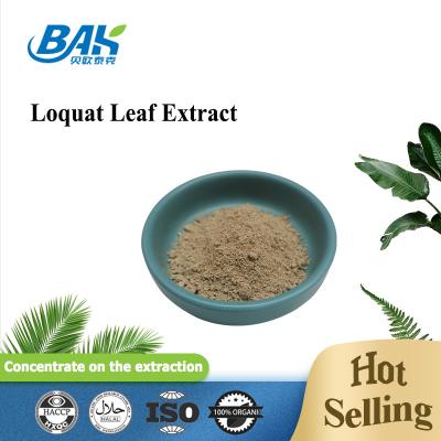 China SC Loquat Leaf Extract Weight Loss Supplement Powder for sale