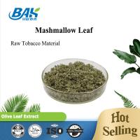 China 100% Natural Mashmallow Leaf Raw Tobacco Material 3-5mm for sale