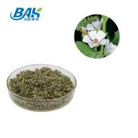China 100% Natural Mashmallow Leaf Raw Tobacco Material 3-5mm for sale